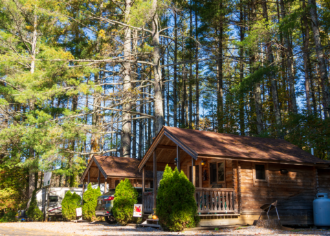 The Pines RV Park - Welcome - The Pines RV Park and Cabins
